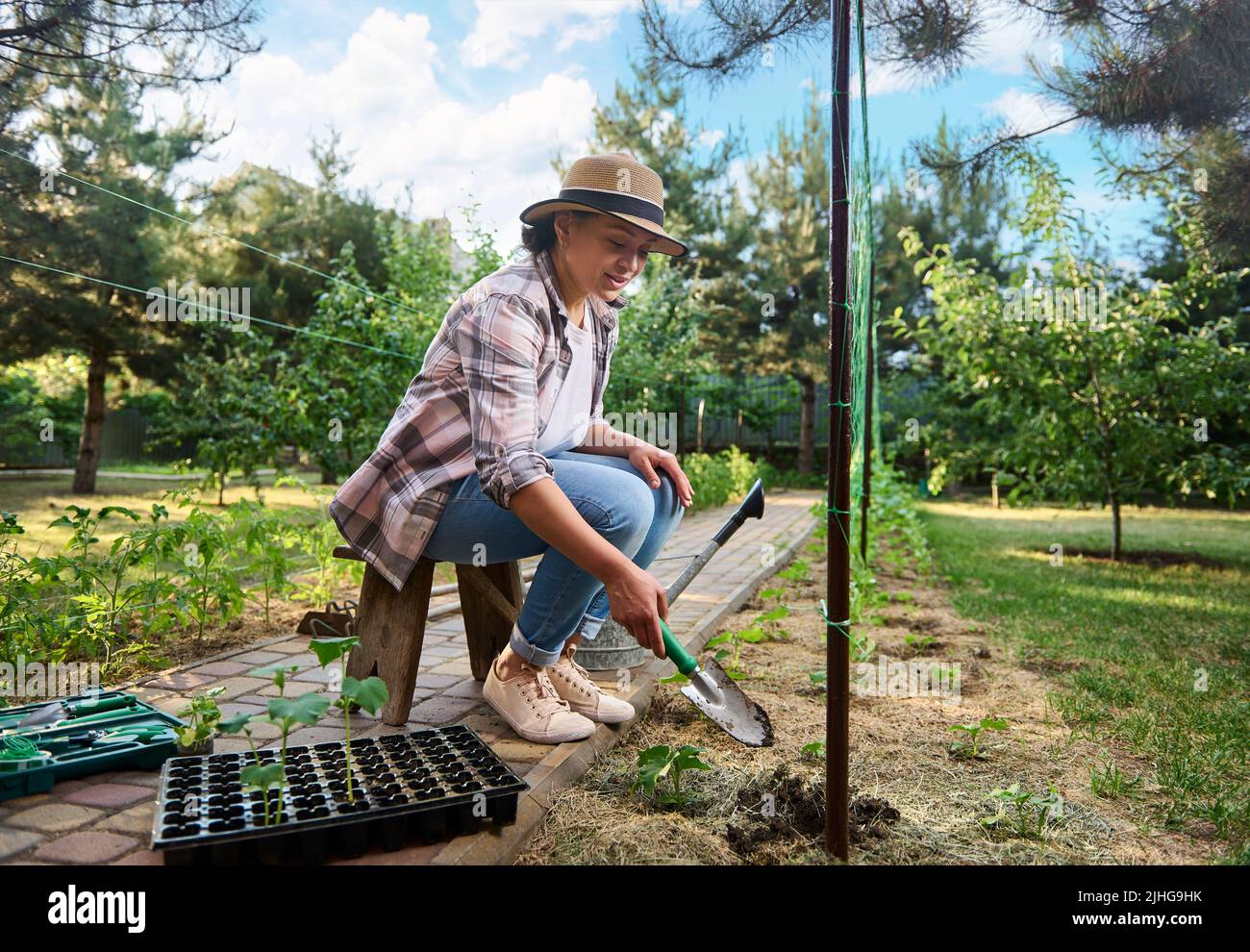 Pleasant woman gardener making a deep hole in fertilized ground while ...