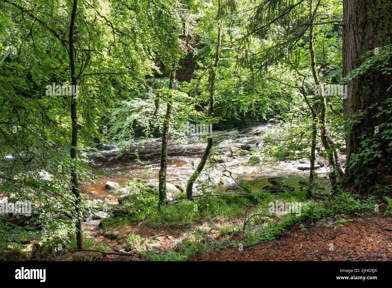 The River Braan captured from the Hermitage forest in Dunkeld ...