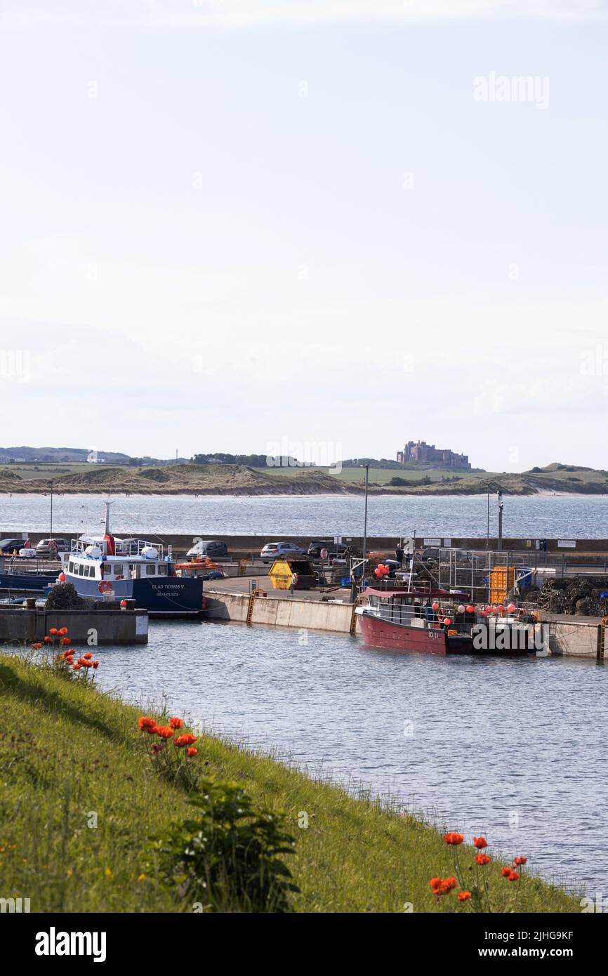 The harbour at Seahouses on the Northumberland coast with Bamburgh ...