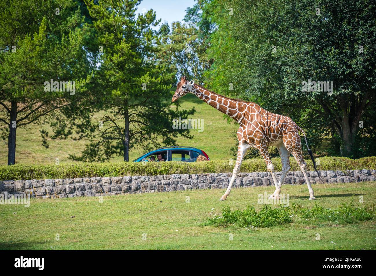 Safari Park Dvůr Králové, Czech Republic - August 2020 : People sitting ...