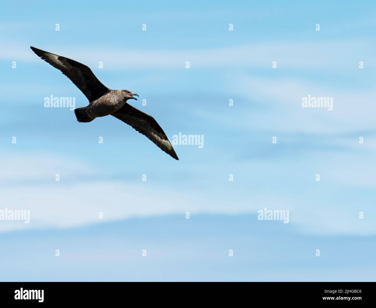 Dale hill hi-res stock photography and images - Alamy