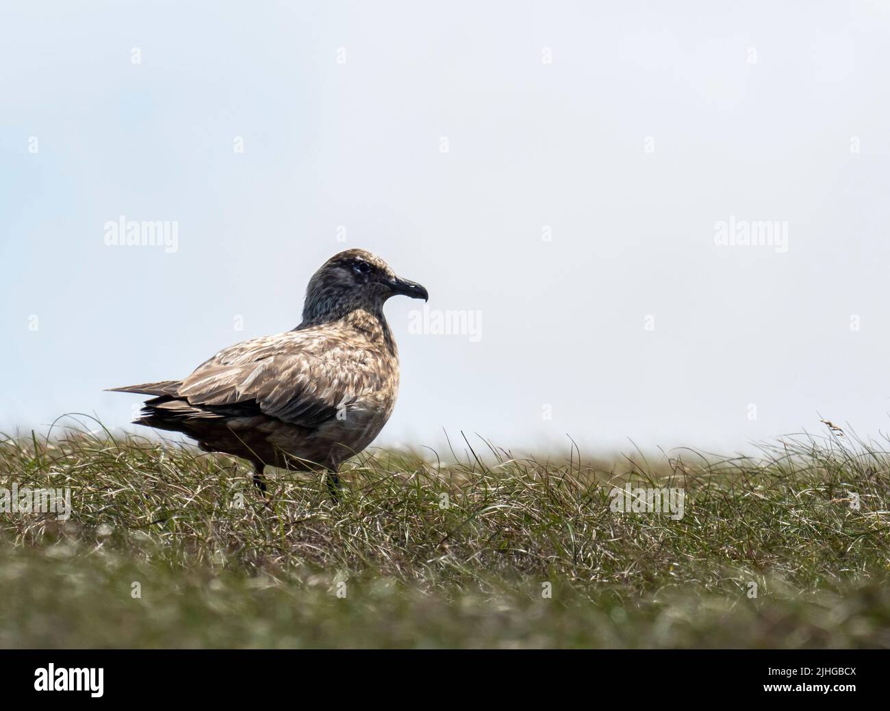 Dale hill hi-res stock photography and images - Alamy