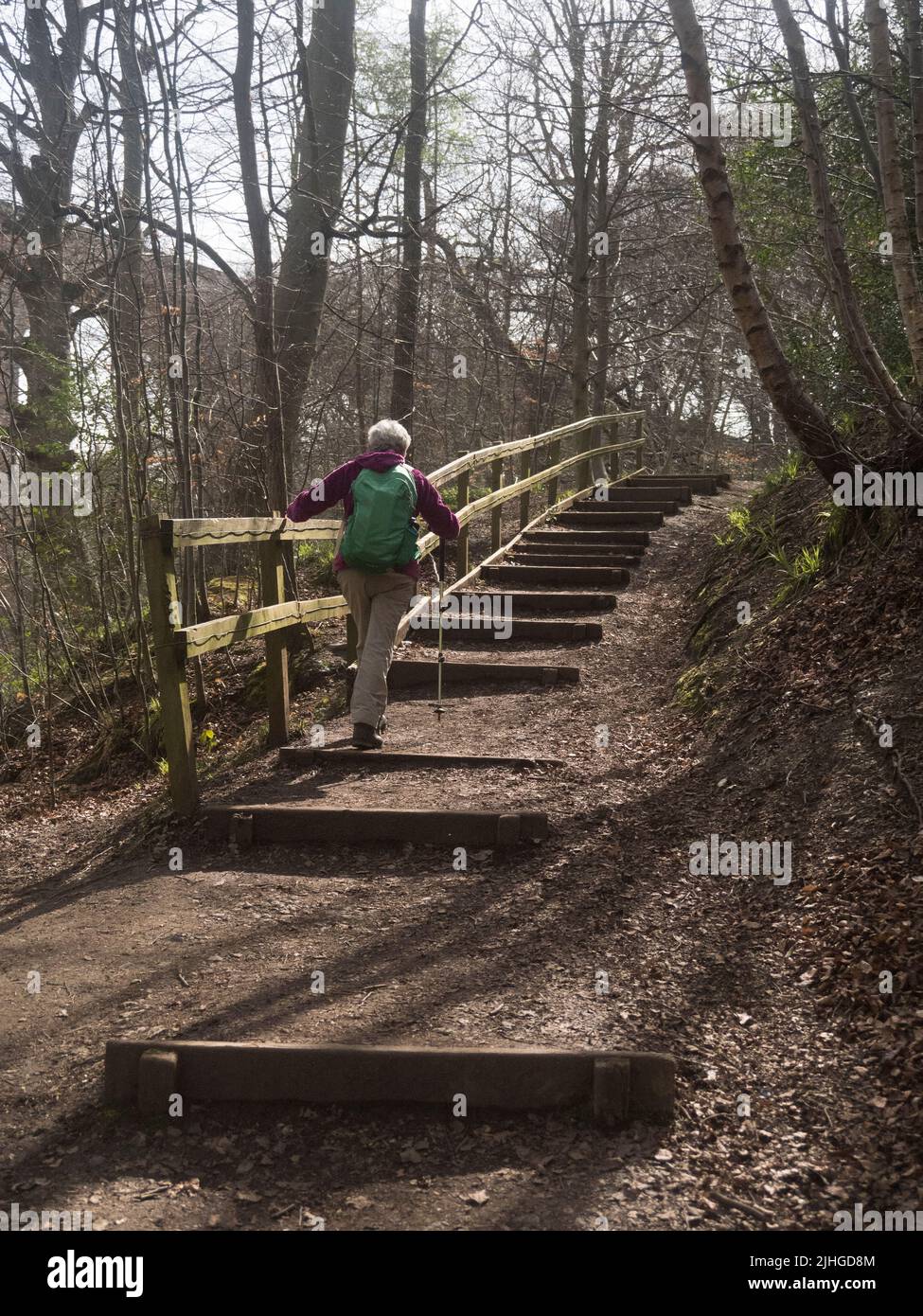 Elderly walking climbing steps on Cleveland Way between Saltburn and ...