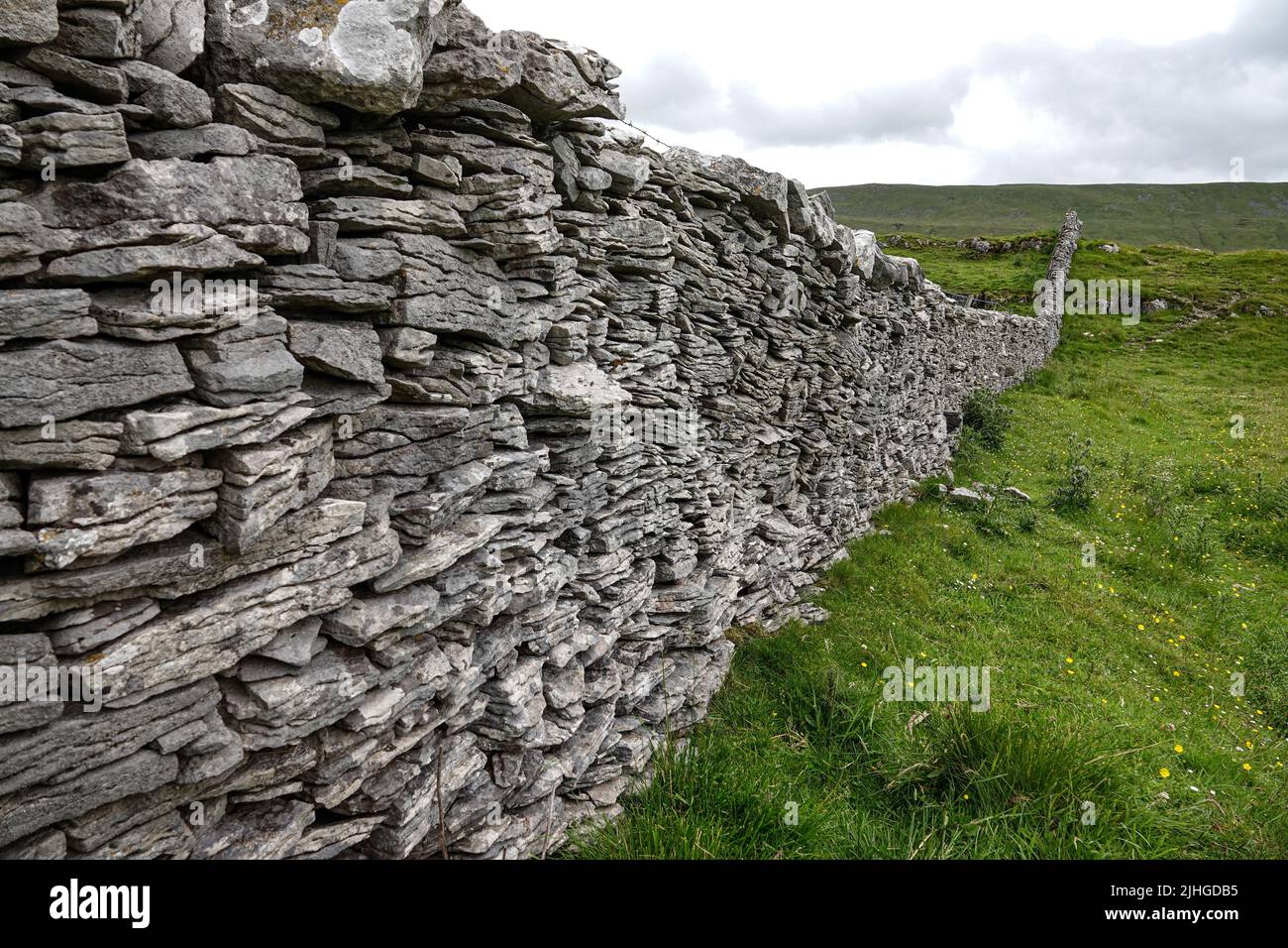 Drystone wall on Ingleborough mountain above Ingleton, Yorkshire, UK ...
