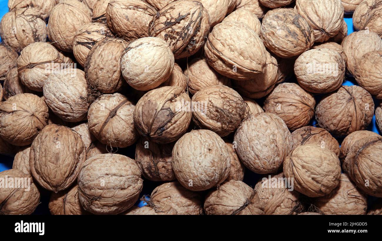 Iodine tree hi-res stock photography and images - Alamy
