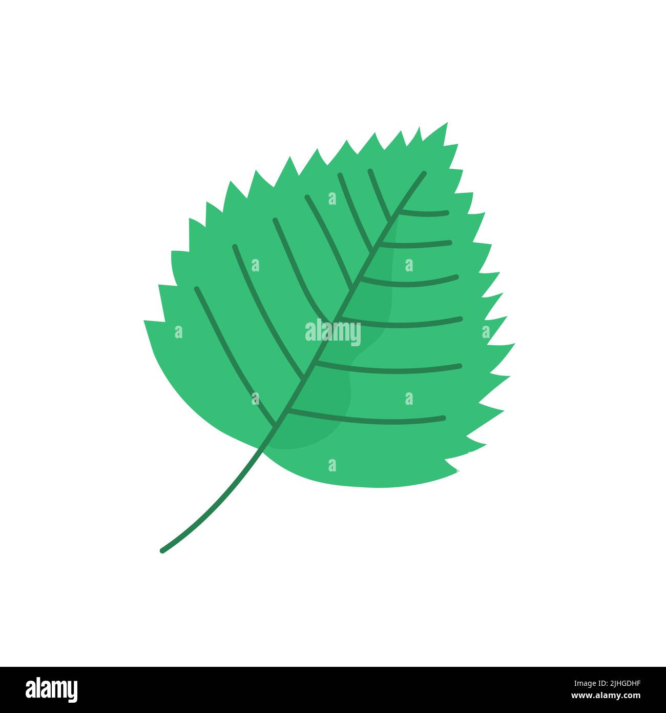 Birch Leaf Clipart