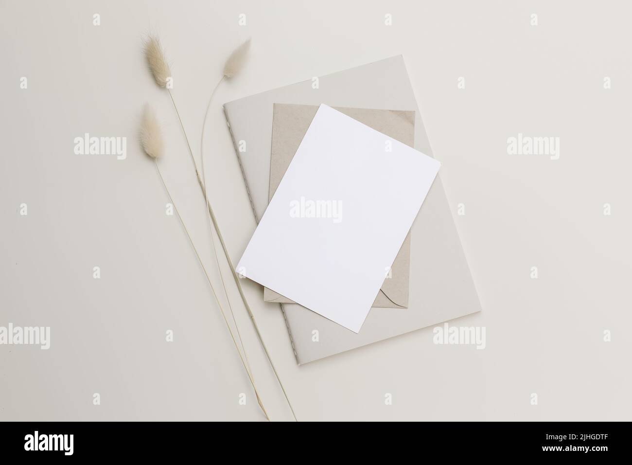 Modern summer stationery still life. Lagurus ovatus, bunny tail grassy ...