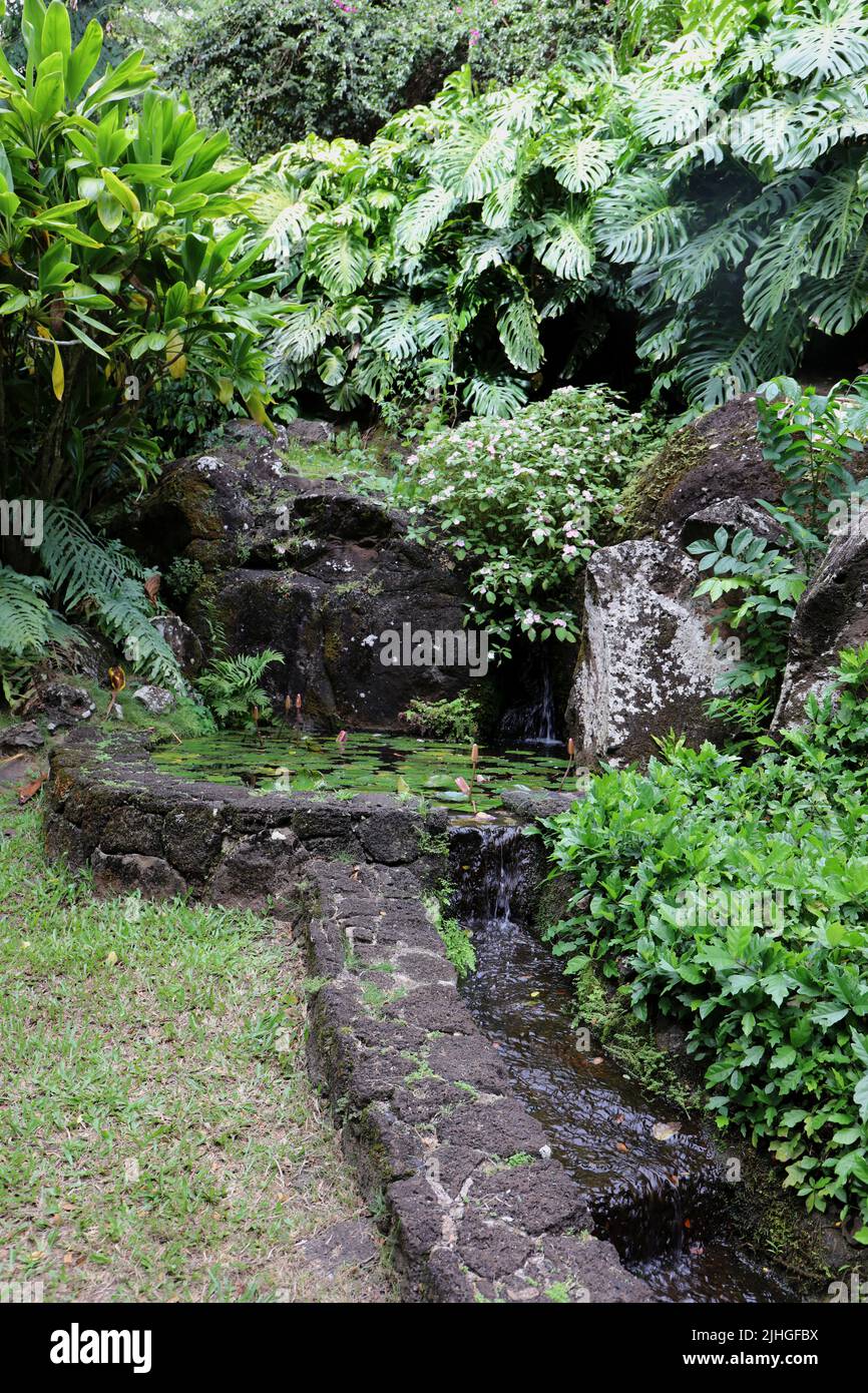 A pond filled with water lilies overflowing into a man made stream ...
