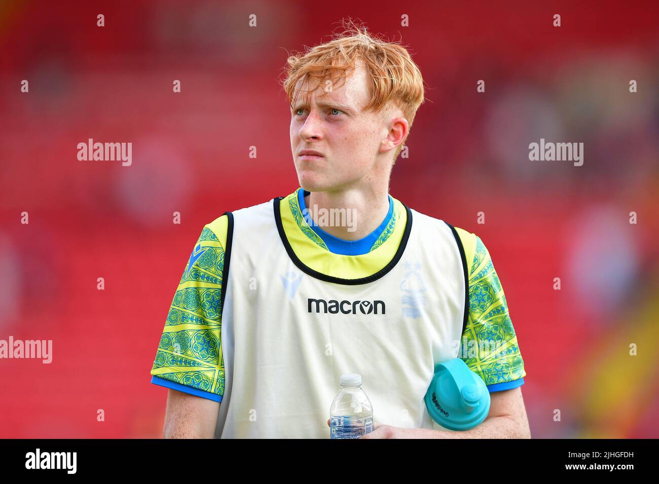 Oliver hammond forest hi-res stock photography and images - Alamy