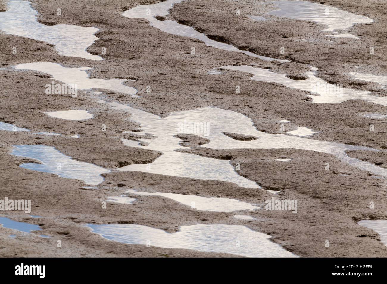 Mud flats low tide severn estuary newport south wales nature reserve ...