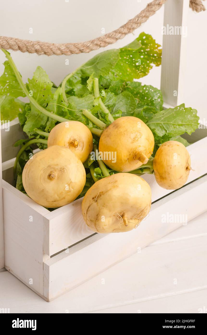 Fresh yellow turnip with stems and green leaves in a box on a white ...
