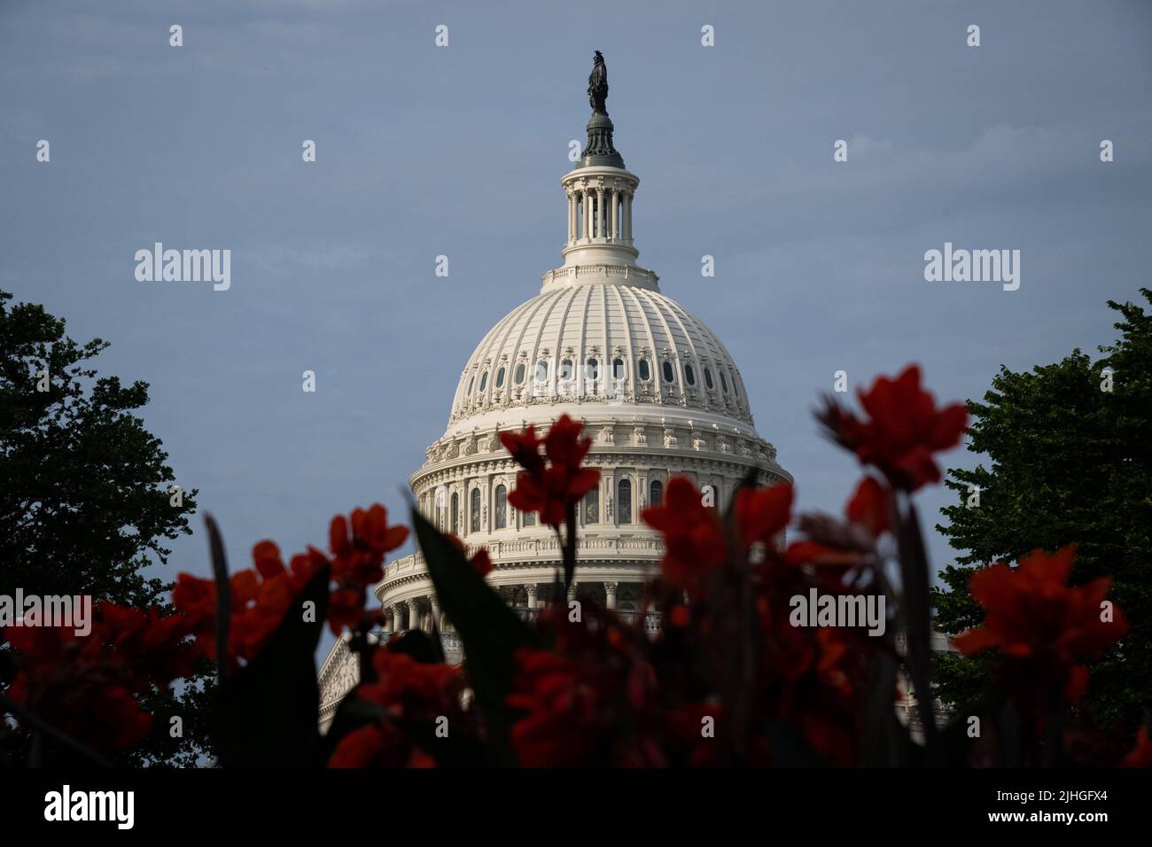 A general view of the U.S. Capitol Building behind flowers, in ...