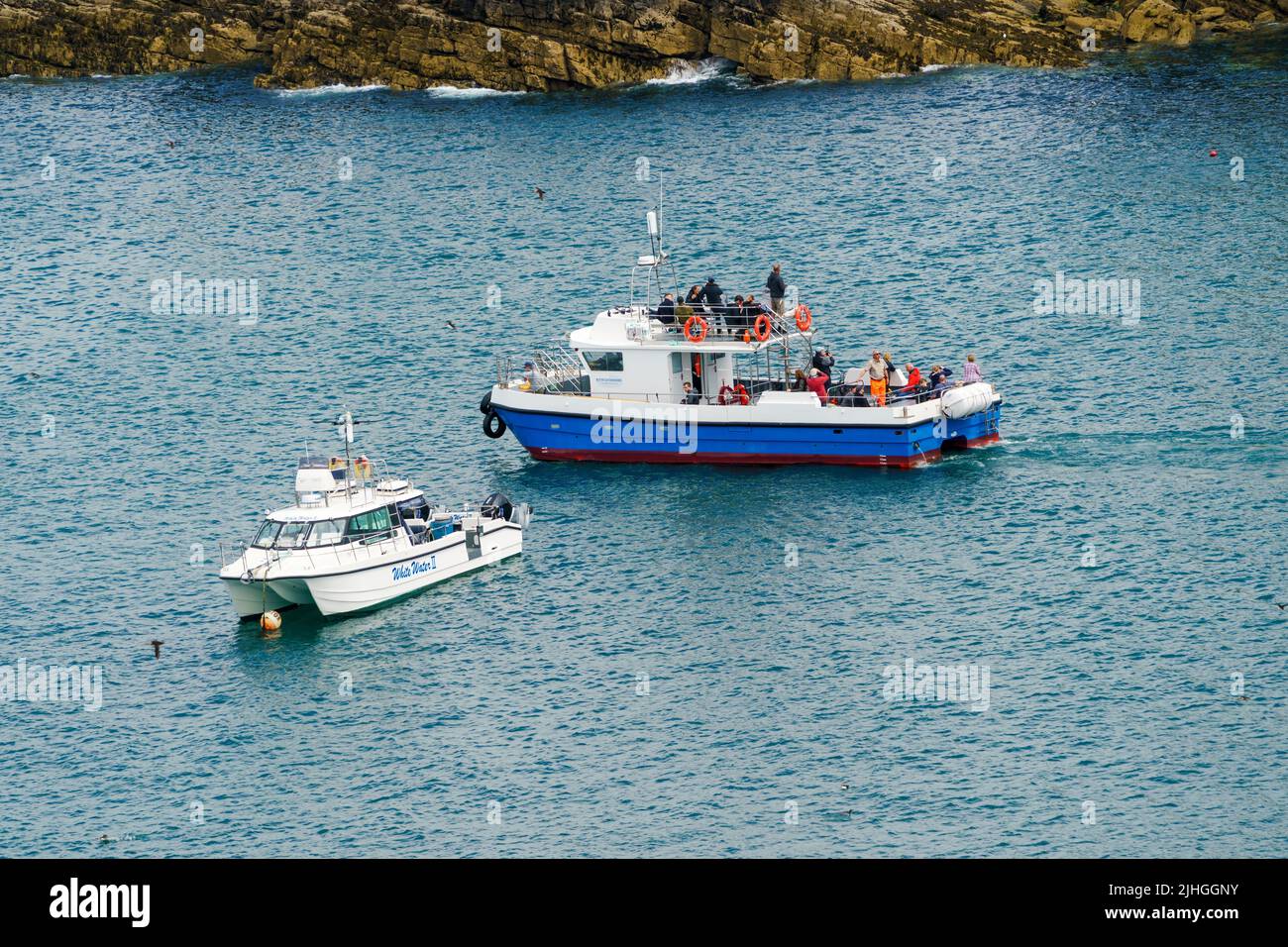 Birdwatching from boat hi-res stock photography and images - Alamy