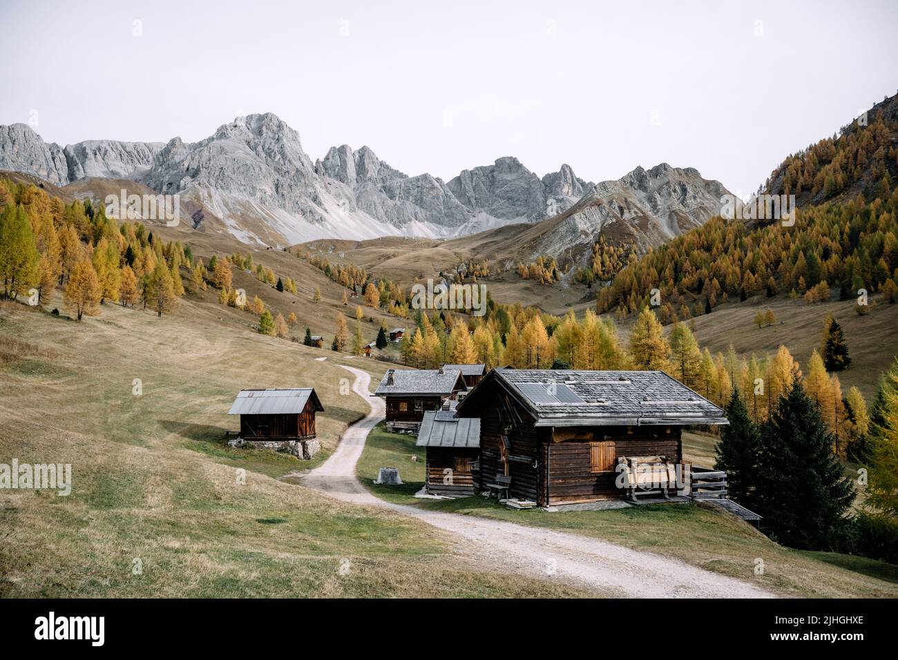 Incredible autumn view at Valfreda valley in Italian Dolomite Alps ...
