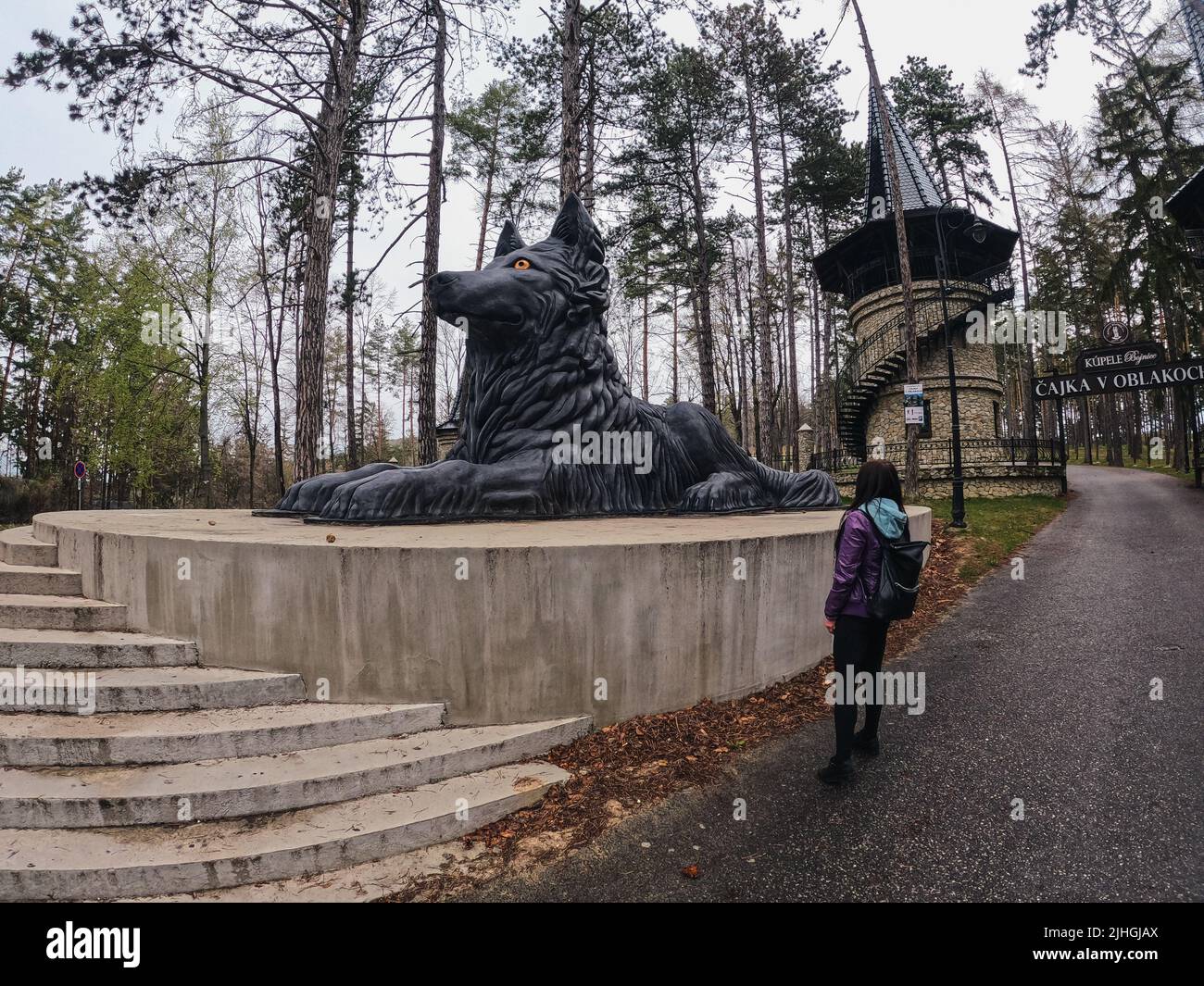 A view of a wolf in Bojnice City Park in Slovakia Stock Photo - Alamy