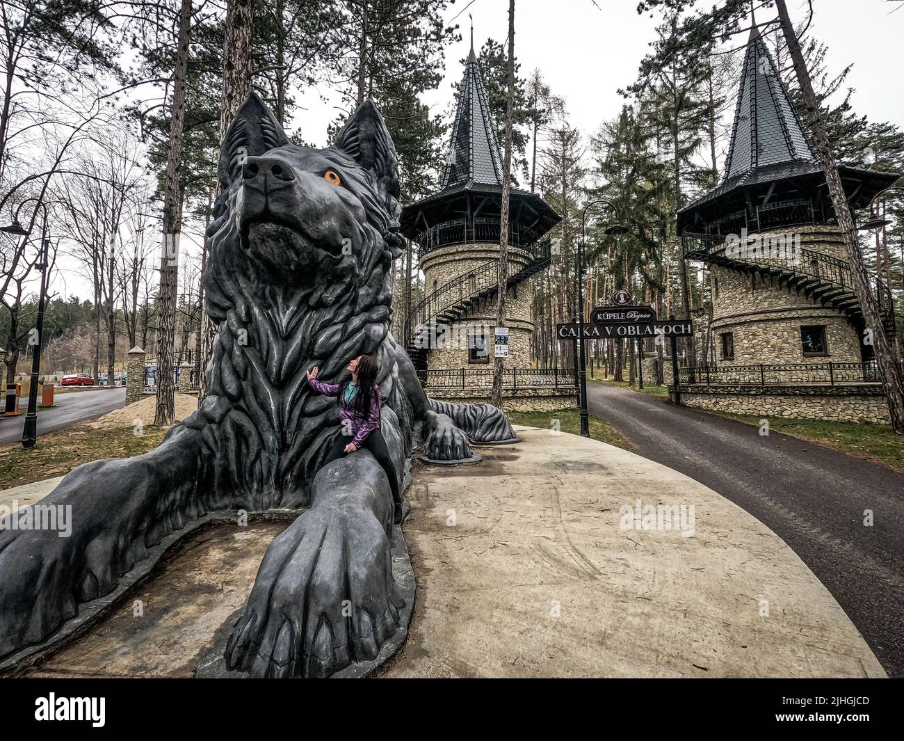 A view of a wolf in Bojnice City Park in Slovakia Stock Photo - Alamy