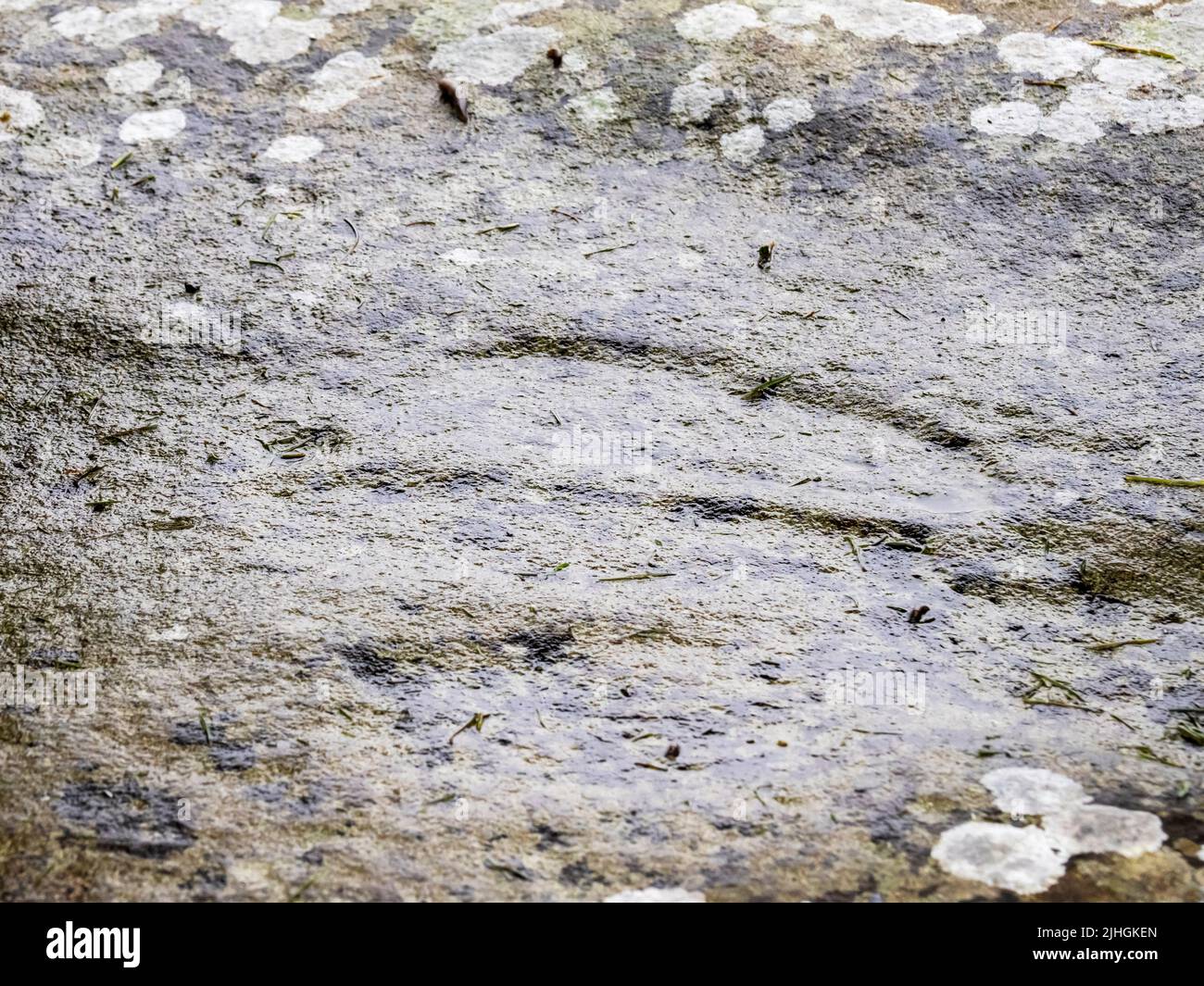 Iron age carved footprints in a rock at Clickimin Broch in Lerwick ...
