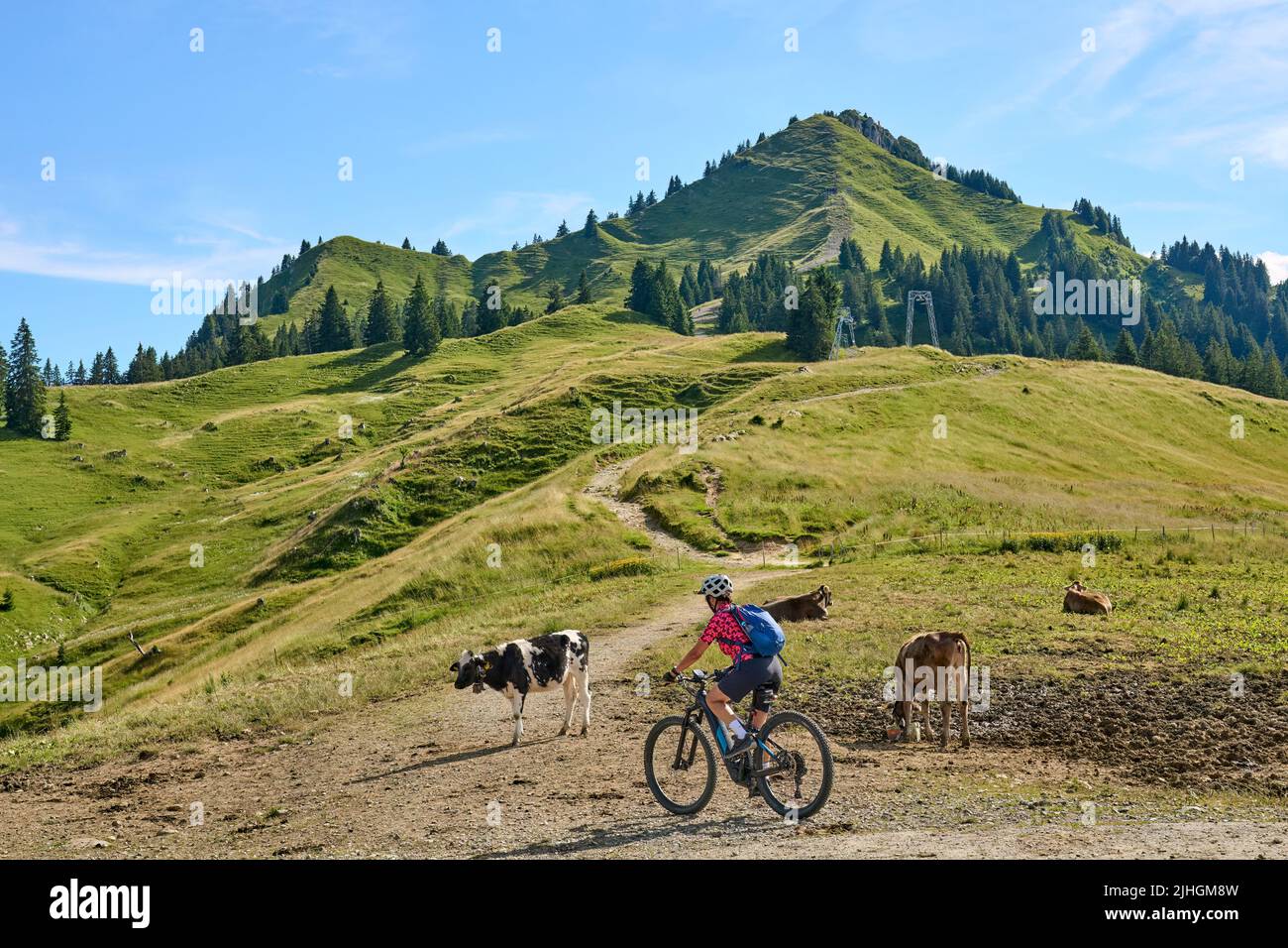 nice active senior woman riding her electric mountain bike at Mount ...