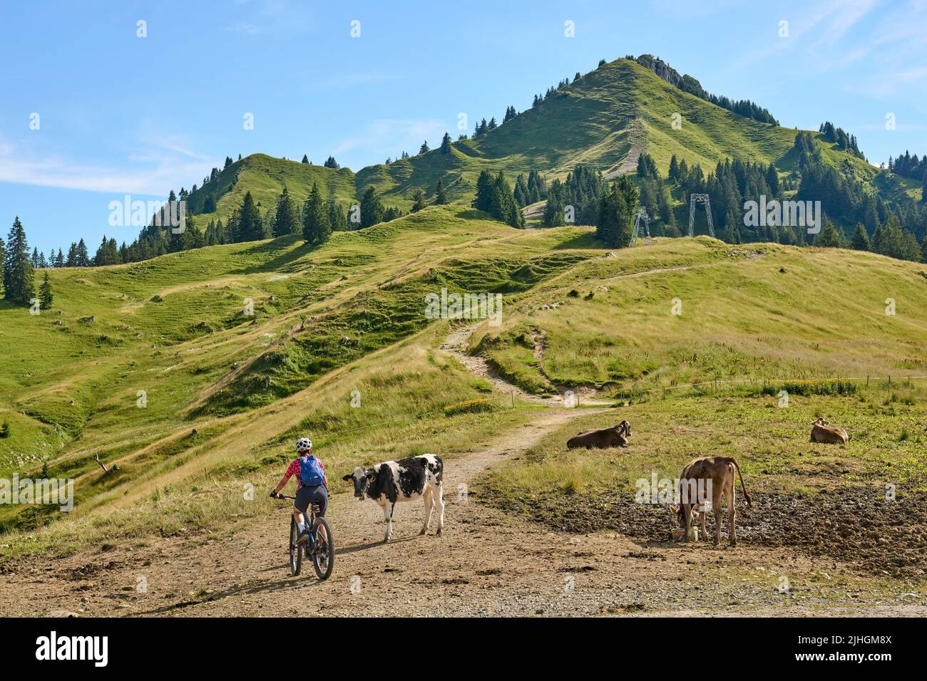 nice active senior woman riding her electric mountain bike at Mount ...