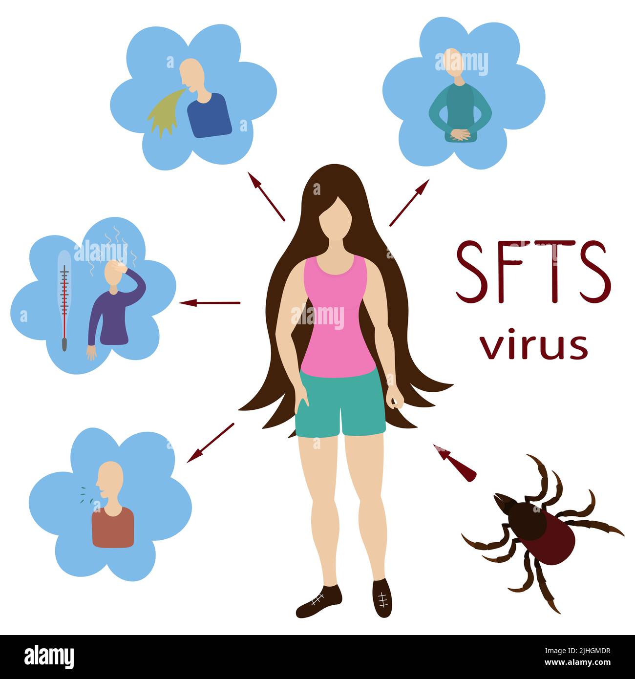Path of infection with SFTS virus and its symptoms. Dangerous insect ...