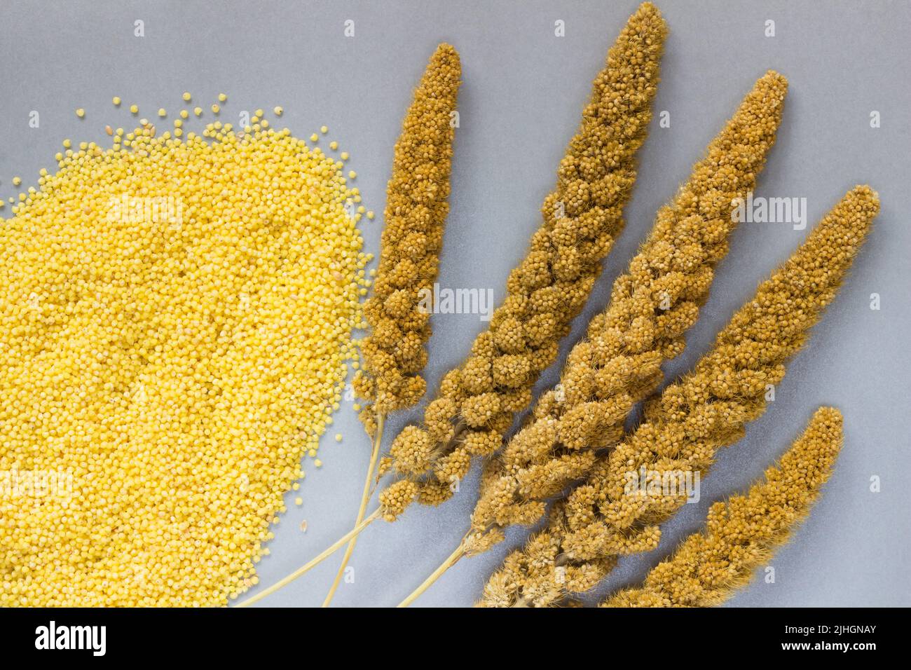 Whole millet flour hi-res stock photography and images - Alamy
