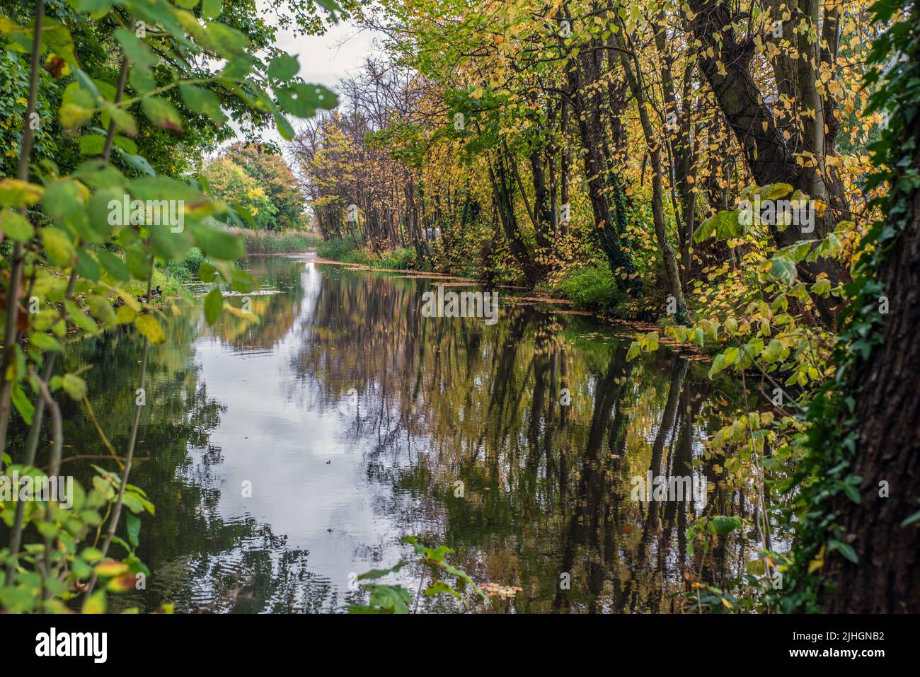 Markeaton lake hi-res stock photography and images - Alamy