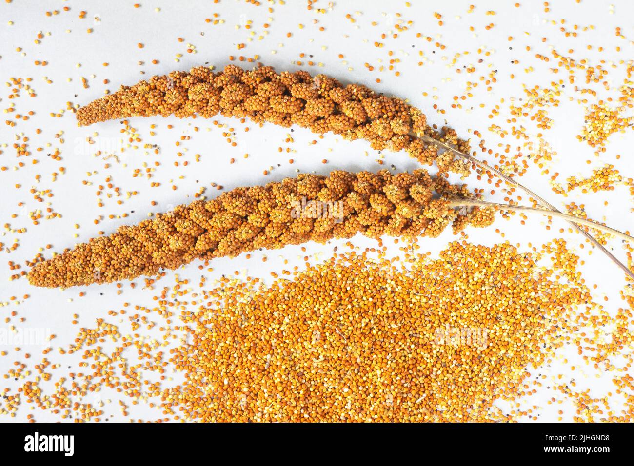 Siberian millet hi-res stock photography and images - Alamy