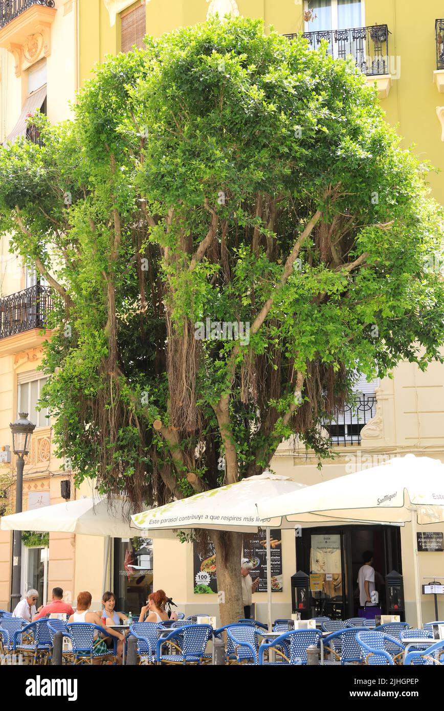 Russafa, Valencia's trendy neighbourhood and cultural and artistic hub ...