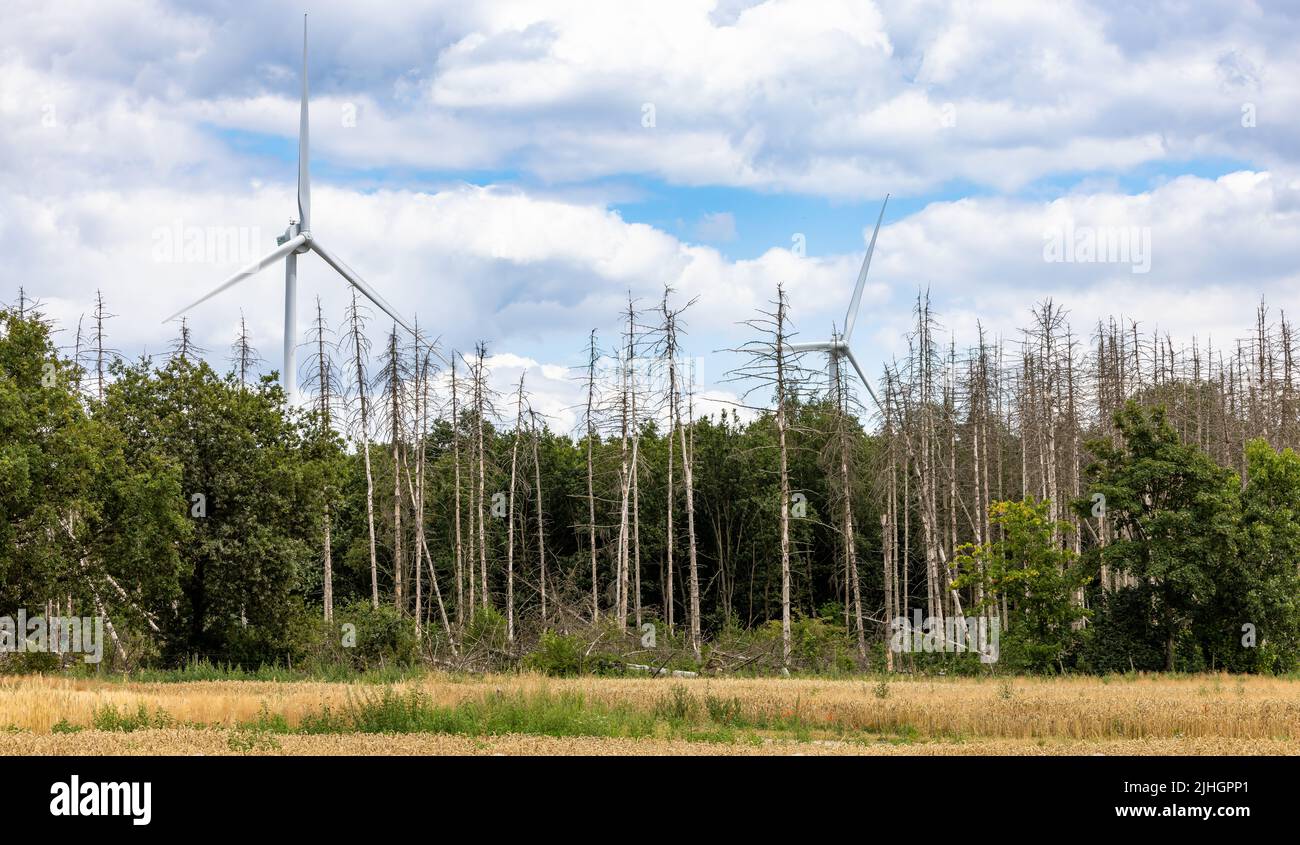 A windmill station by deciduous wood in the cloudy sky background Stock ...