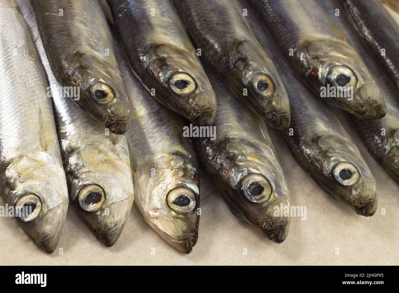 Sea fish herring laid out in two rows closeup Stock Photo - Alamy