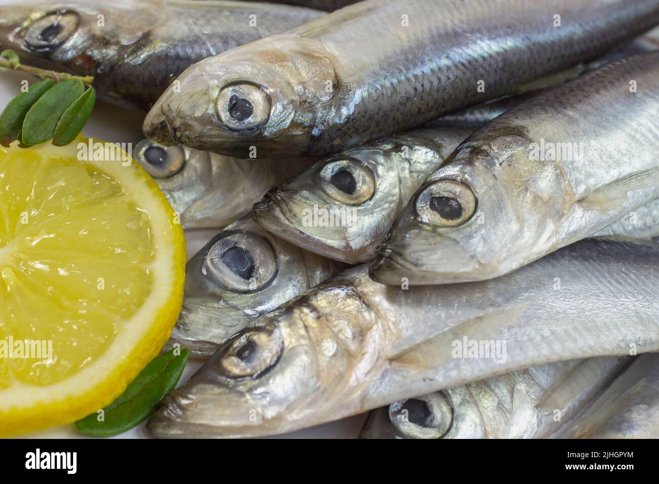 Freshwater fish foods hi-res stock photography and images - Alamy