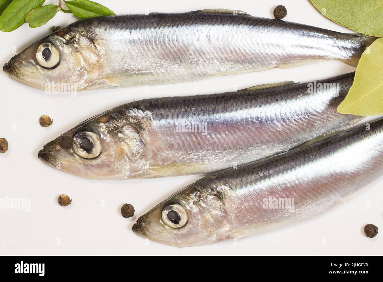 Marine fish herring on a white background Stock Photo - Alamy