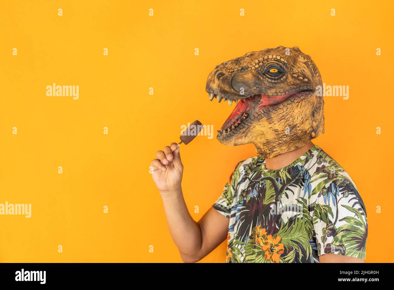 Animal costume mask hi-res stock photography and images - Alamy