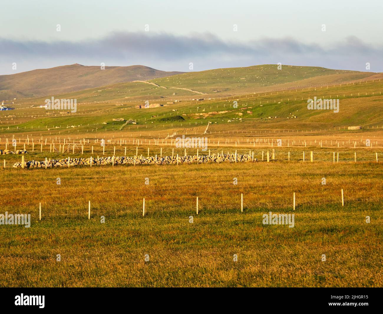 Crofts at Sandness on Mainland Shetland, Scotland, UK Stock Photo - Alamy