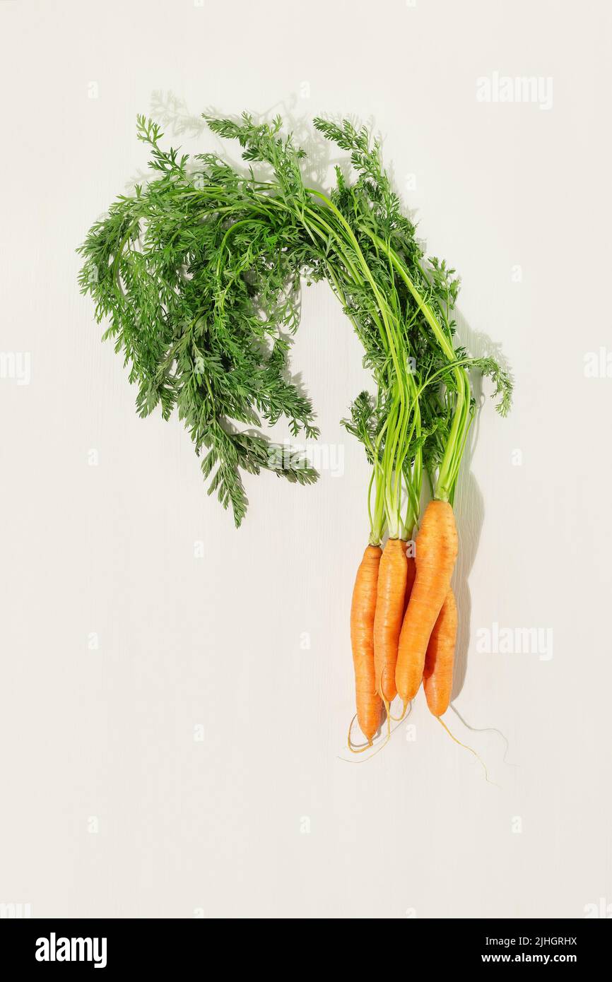 Garden card with young, natural carrots on a light blue background. New ...