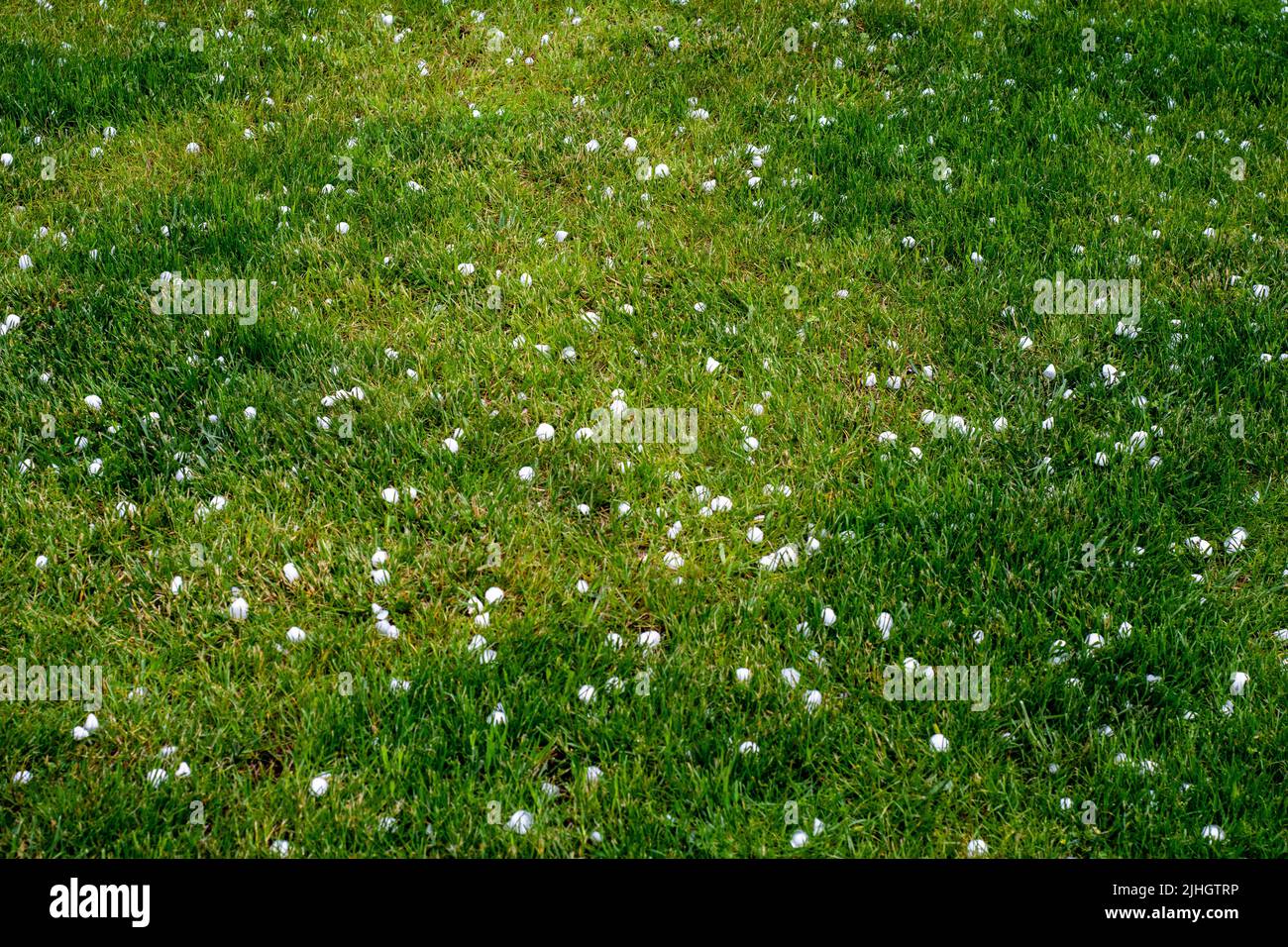 Hand hail hi-res stock photography and images - Alamy