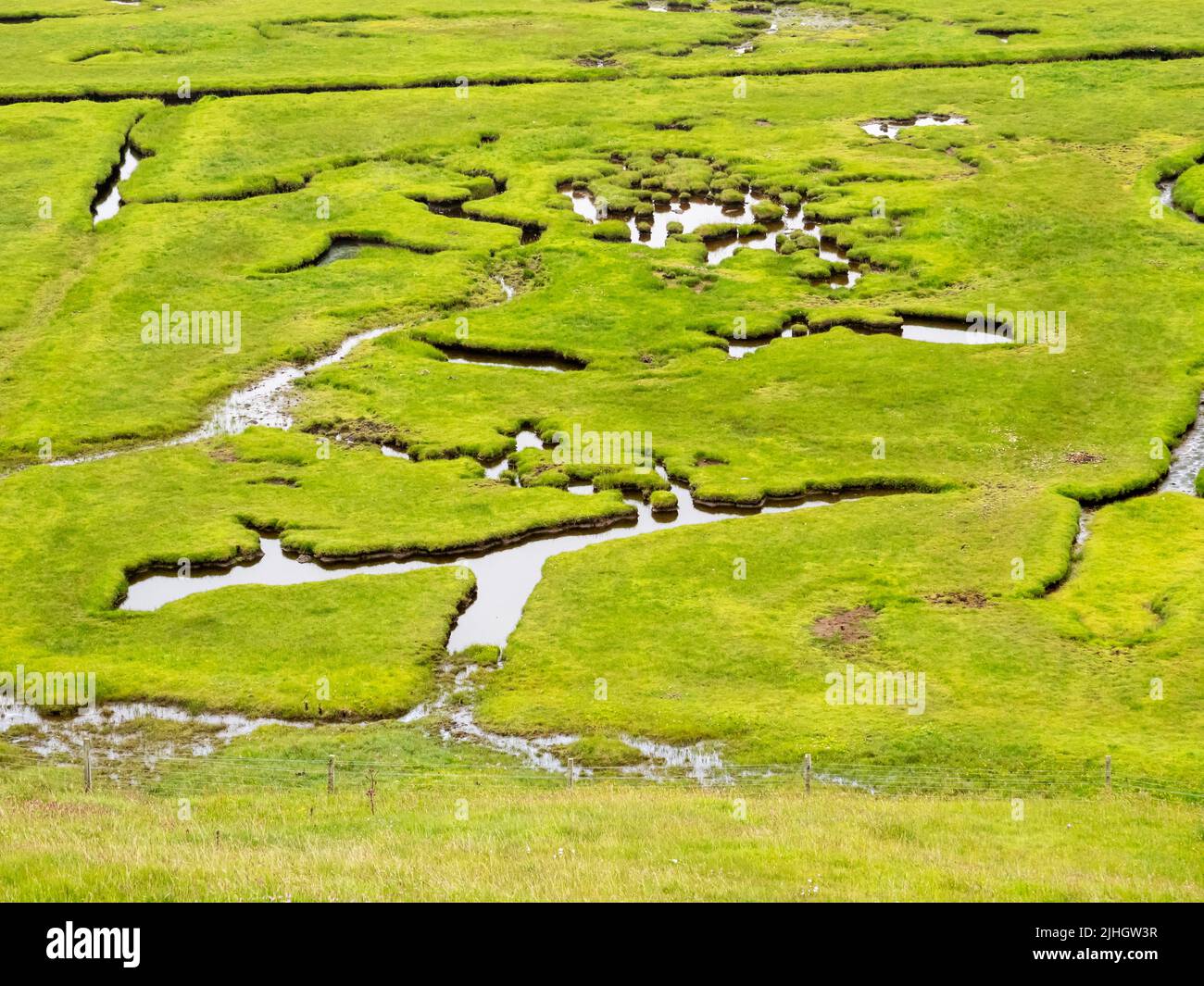 Saltmarsh at Garderhouse, Shetland, Scotland, UK Stock Photo - Alamy