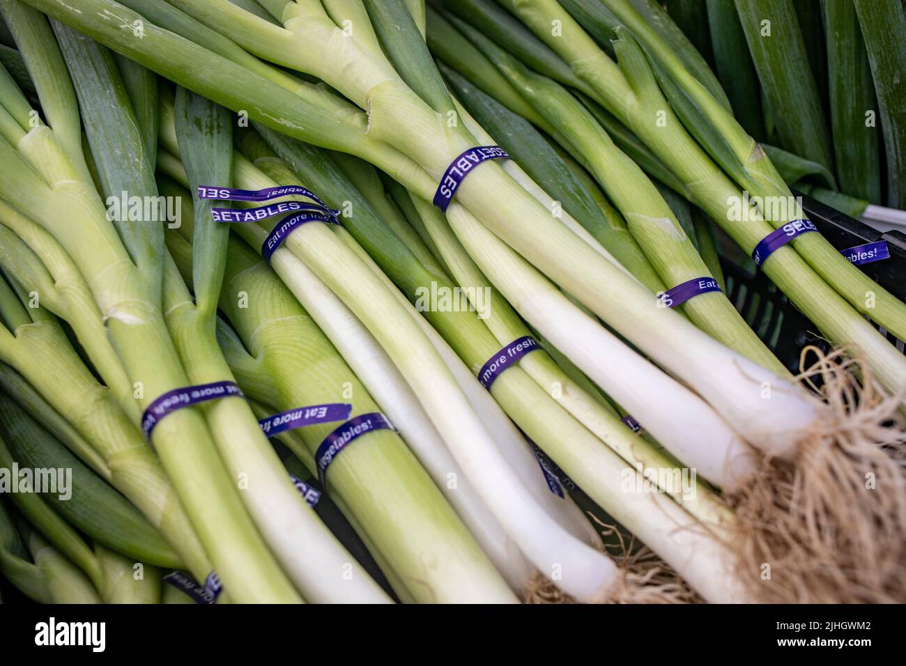 bunches of spring onions in a fruit and vegetable display. organic ...