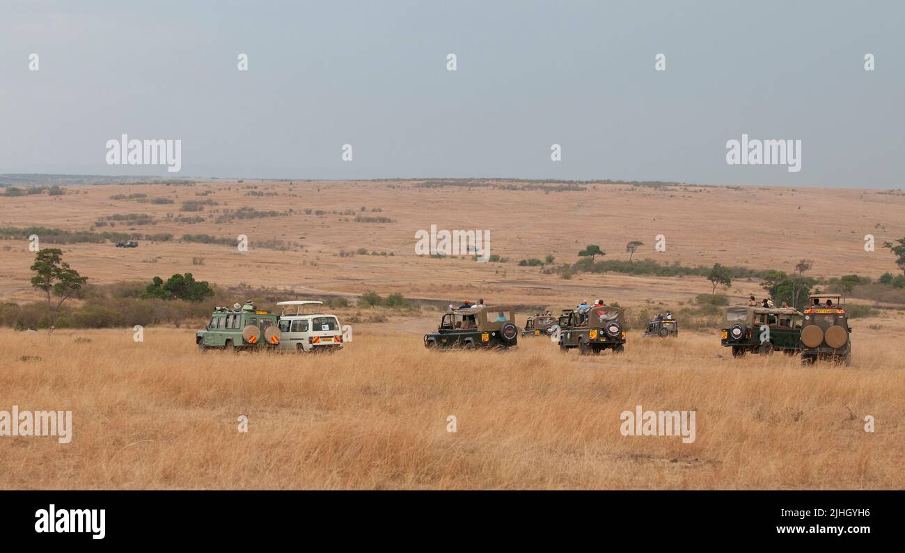 Tourists on game-drive in Maasai Mara, Kenya Stock Photo - Alamy