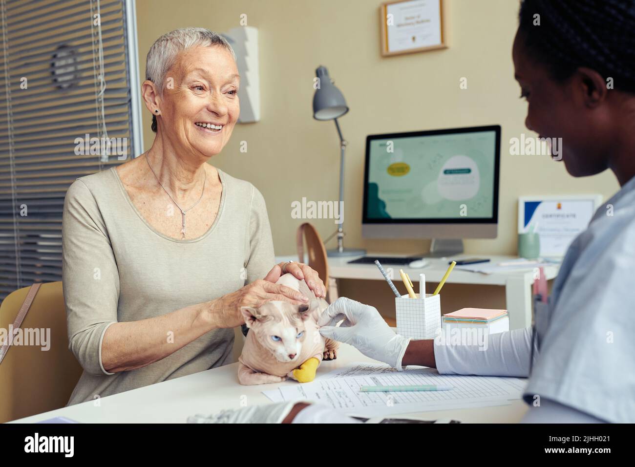 Portrait of smiling senior woman holding cat at vet clinic and ...