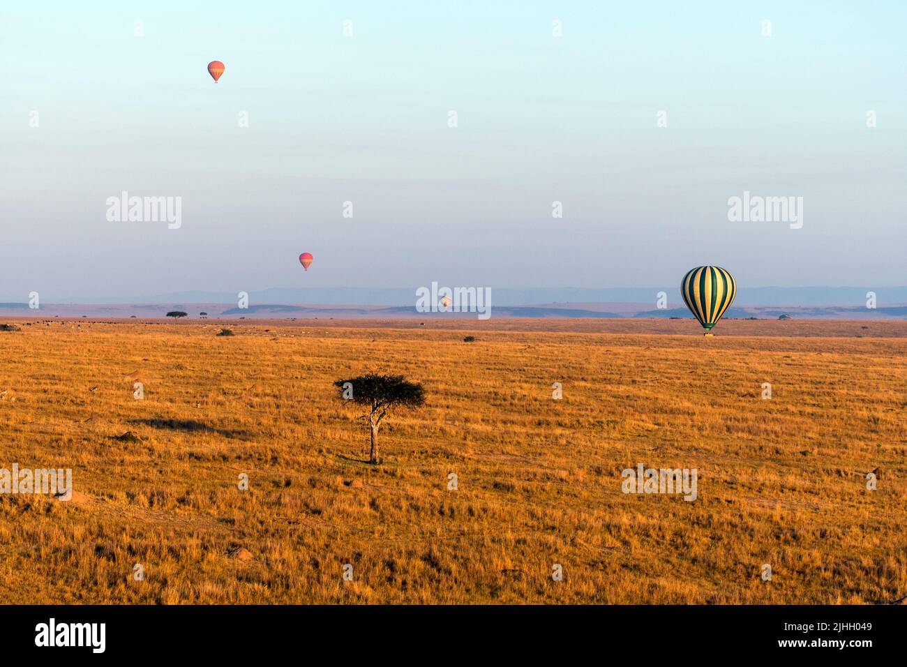 Hot air balloons flying over the savannah in Maasai Mara, Kenya Stock ...