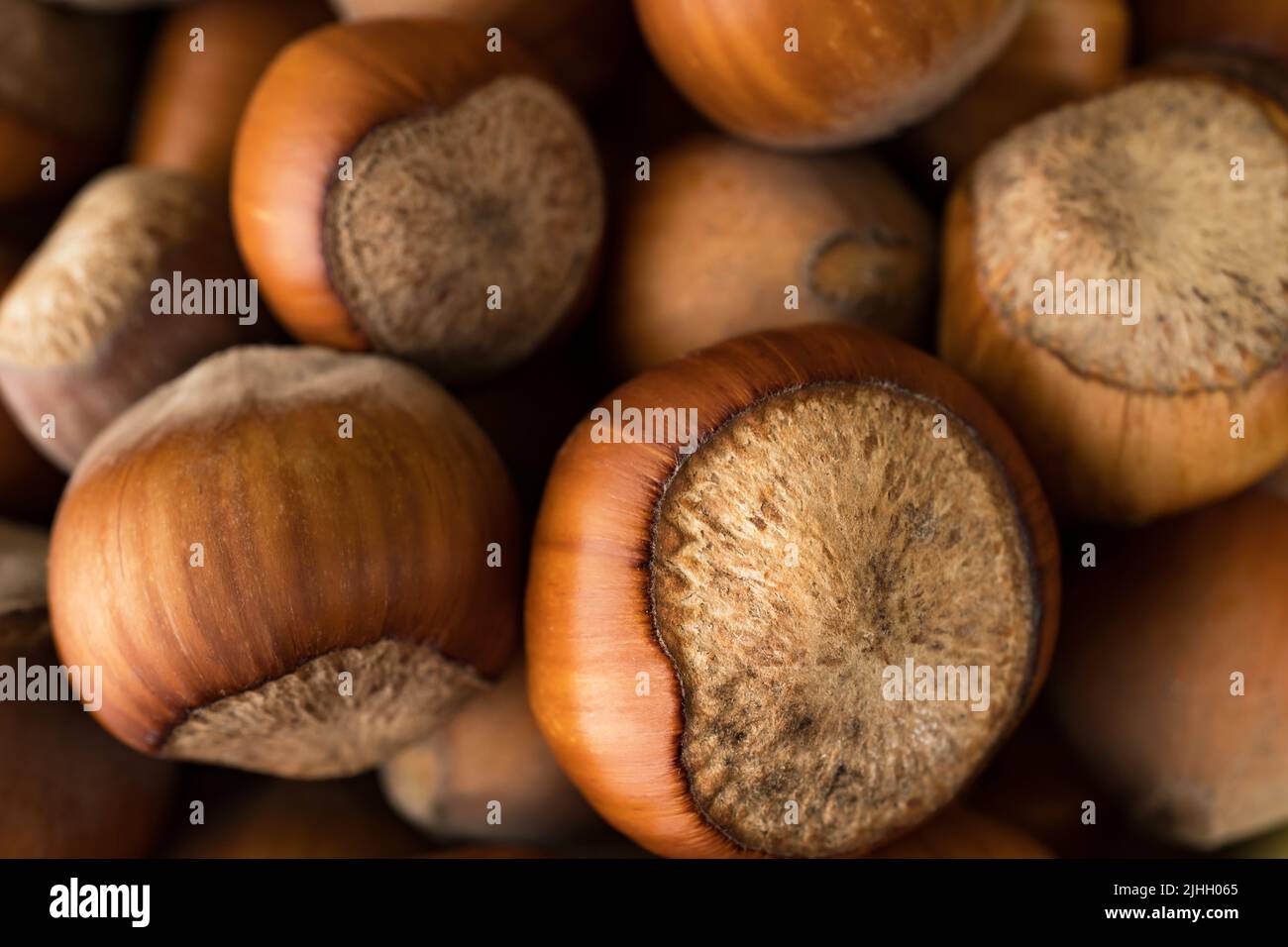 hazelnut fruit, close up, background image Stock Photo - Alamy