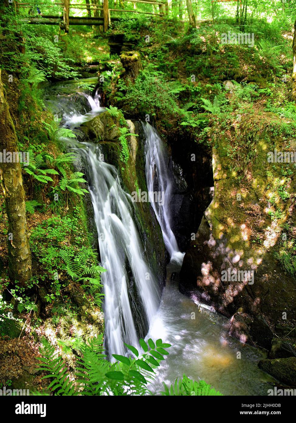 Waterfall in a deep forrest Stock Photo - Alamy