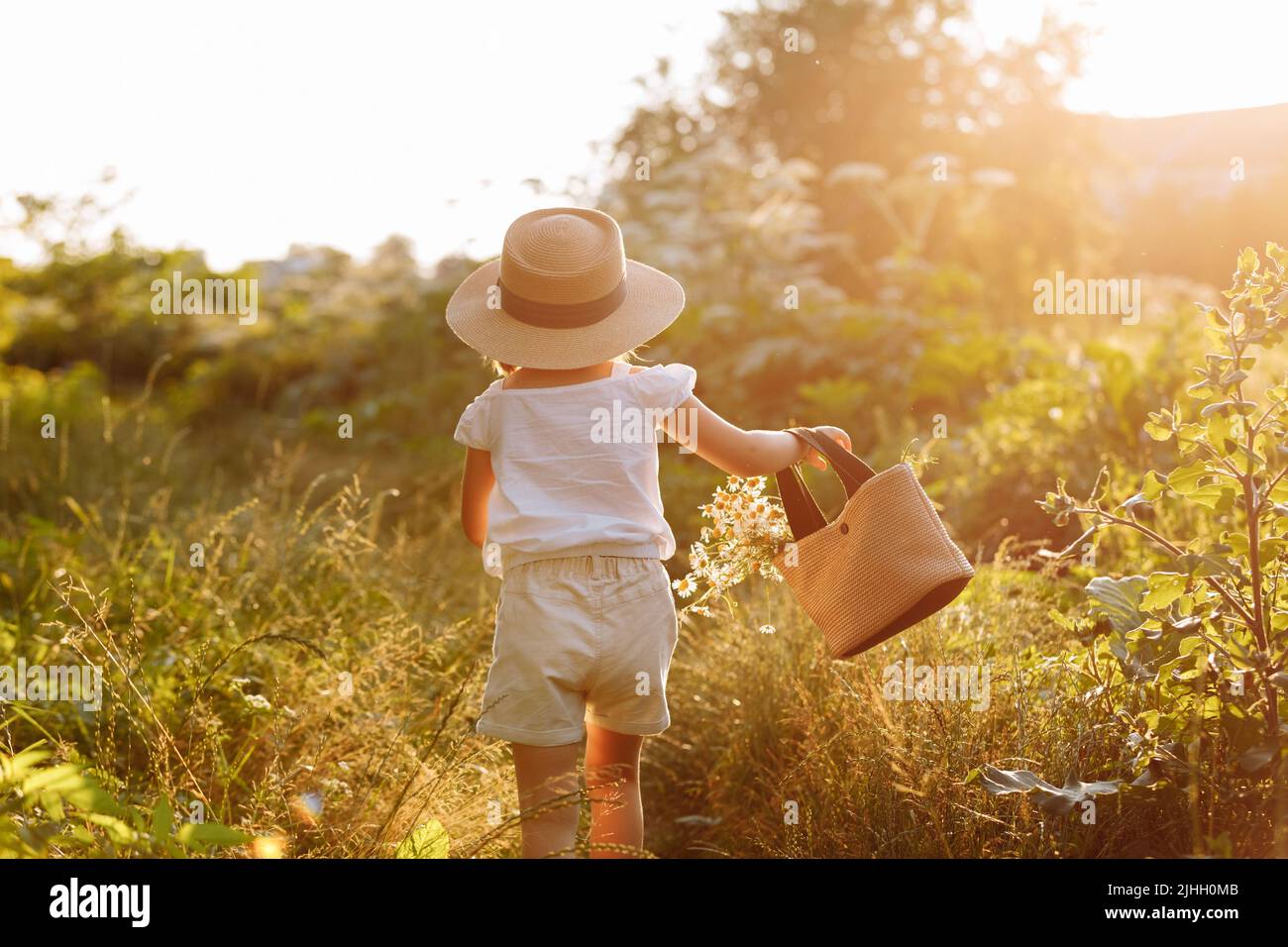 Little girl walks in the rays of a sunset in a flowering meadow ...