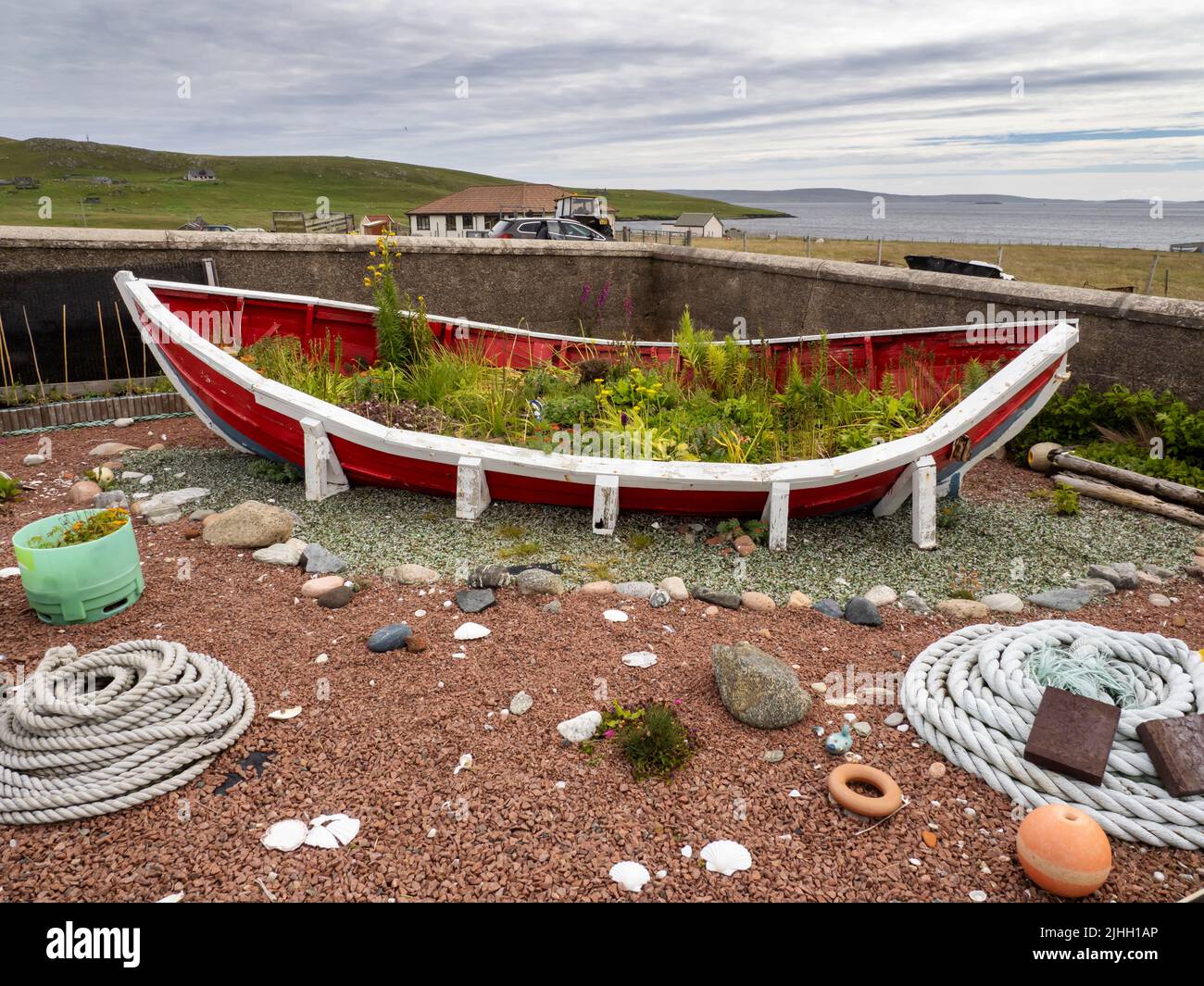 The community garden at North Roe, on the northern tip of Mainland ...