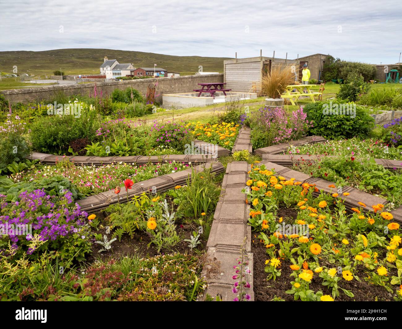 The community garden at North Roe, on the northern tip of Mainland ...