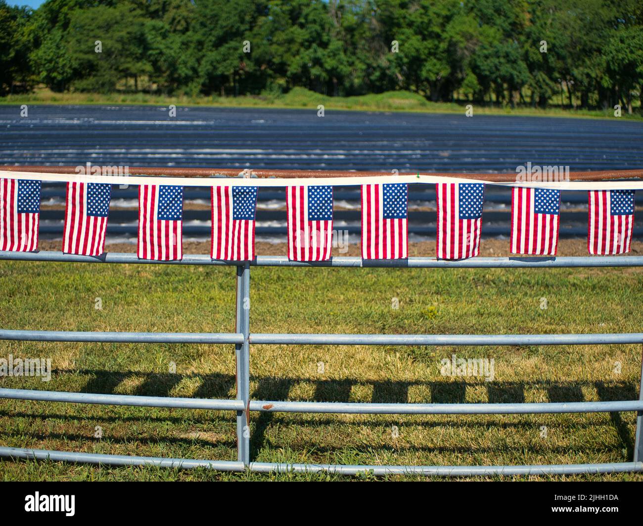 American flags evenly spaced on galvanized steel fence gate Stock Photo ...