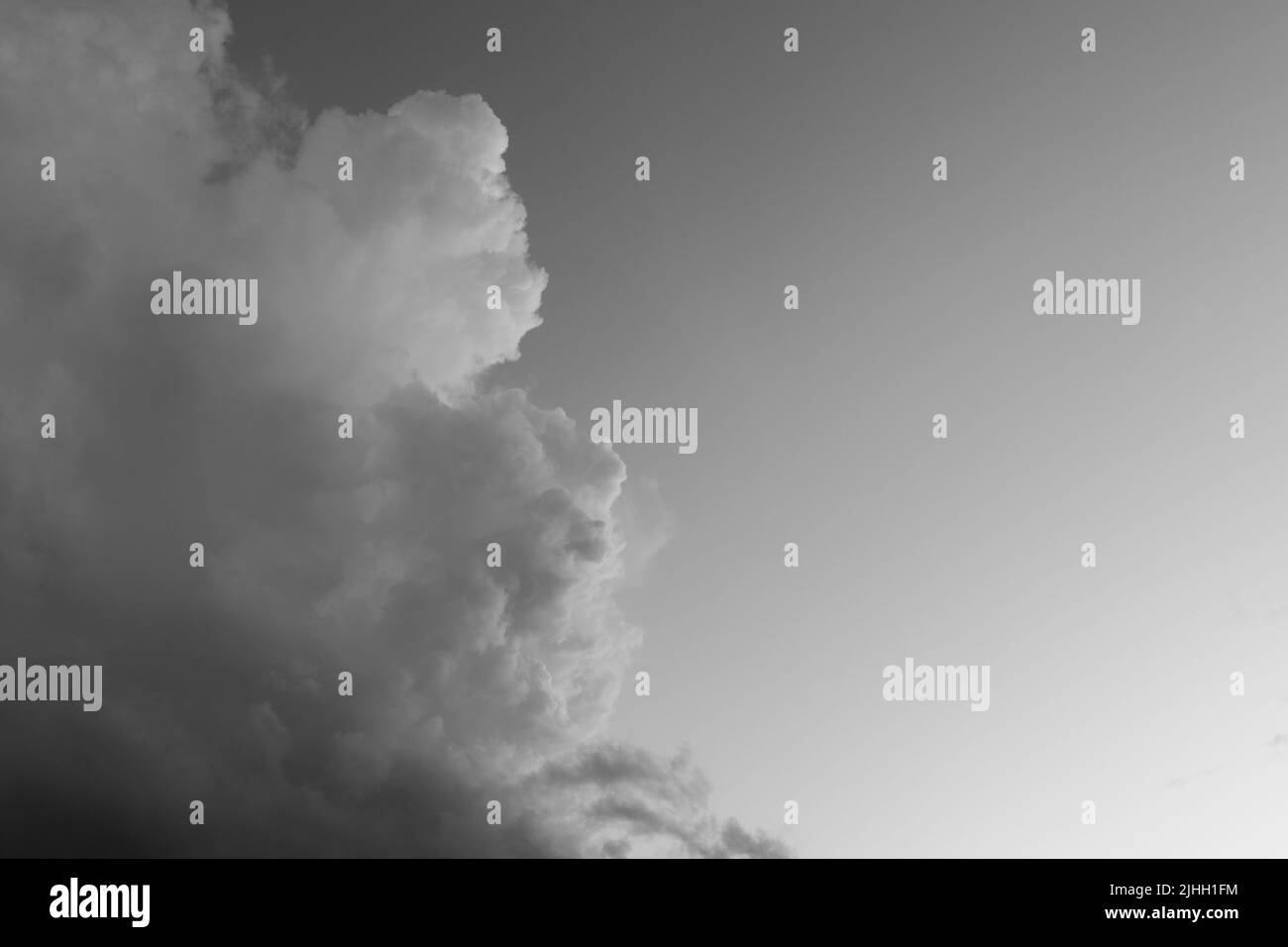 Close up fluffy light Black and White Stock Photos & Images - Alamy