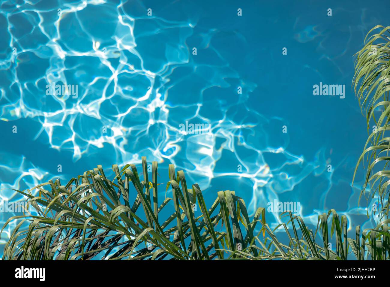 Overhead view of sunlight reflections in swimming pool water beneath ...
