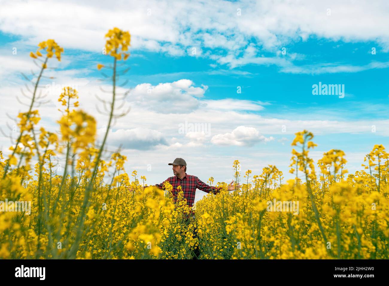 Farm worker wearing red plaid shirt and trucker's hat standing in ...